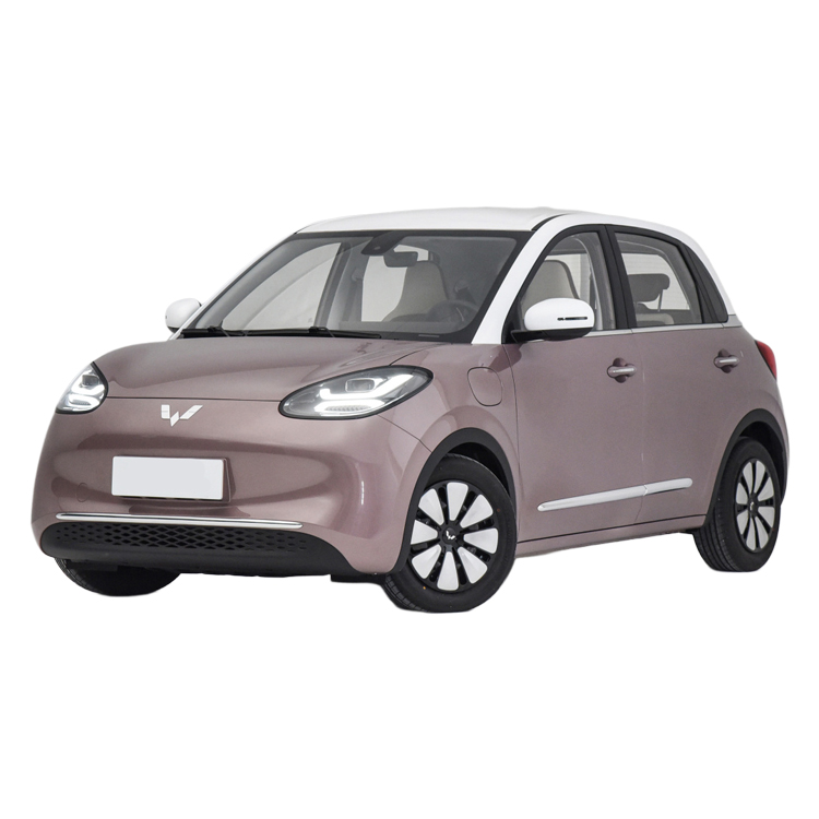 WULING BINGO MINI EV - Henan Zlin Heavy Industry Co., LTD